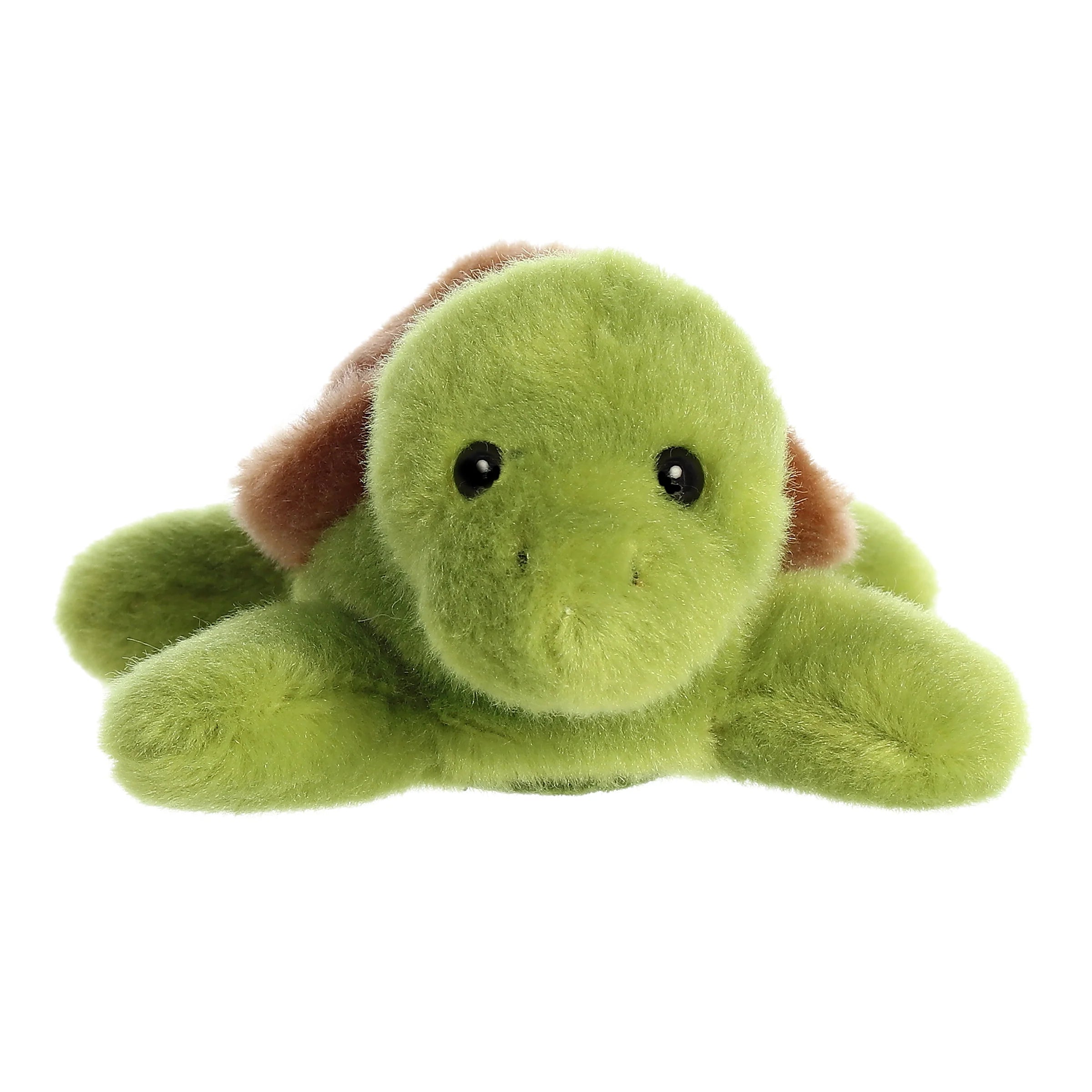 Shoulderkins - 6" Tal Turtle – Sunshine Megastore
